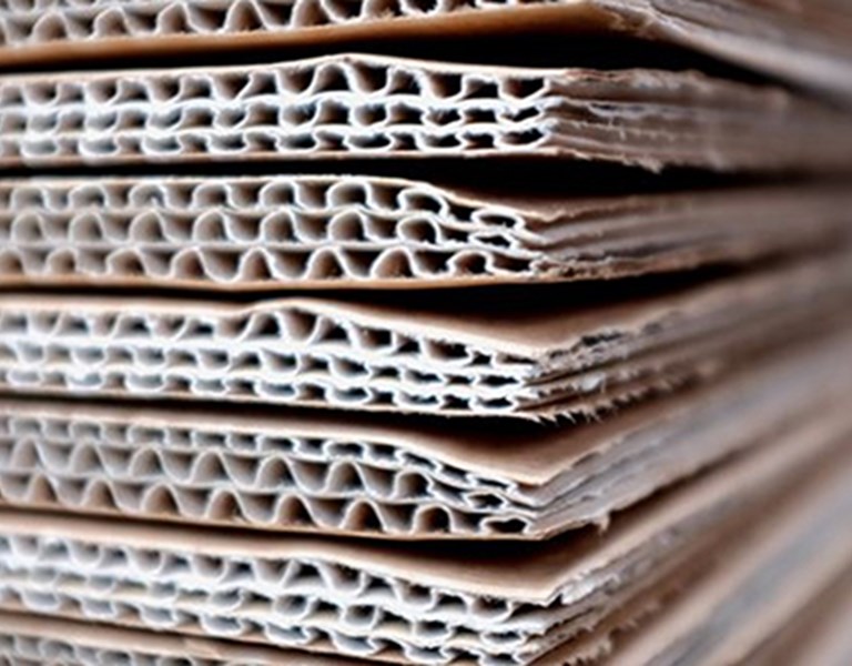 Sustainable Packaging Solutions